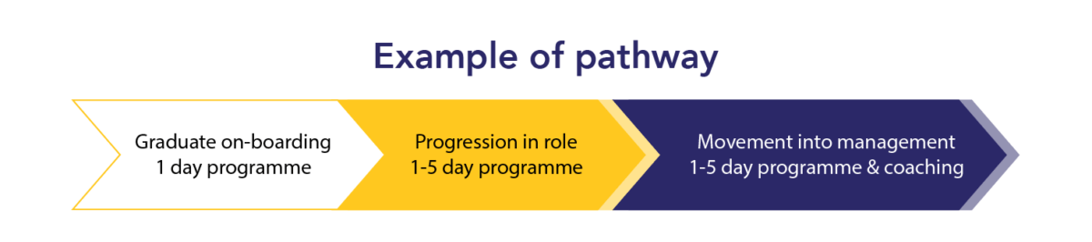 Customised Learning Programmes For Organisations - Bayfield Training Ltd